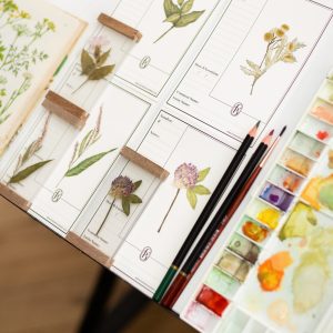 Botanical Specimen Cards - Bolster & Benefield