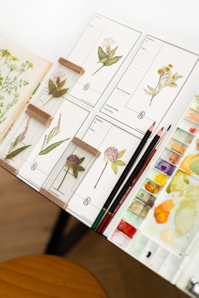 Botanical Specimen Cards - Bolster & Benefield