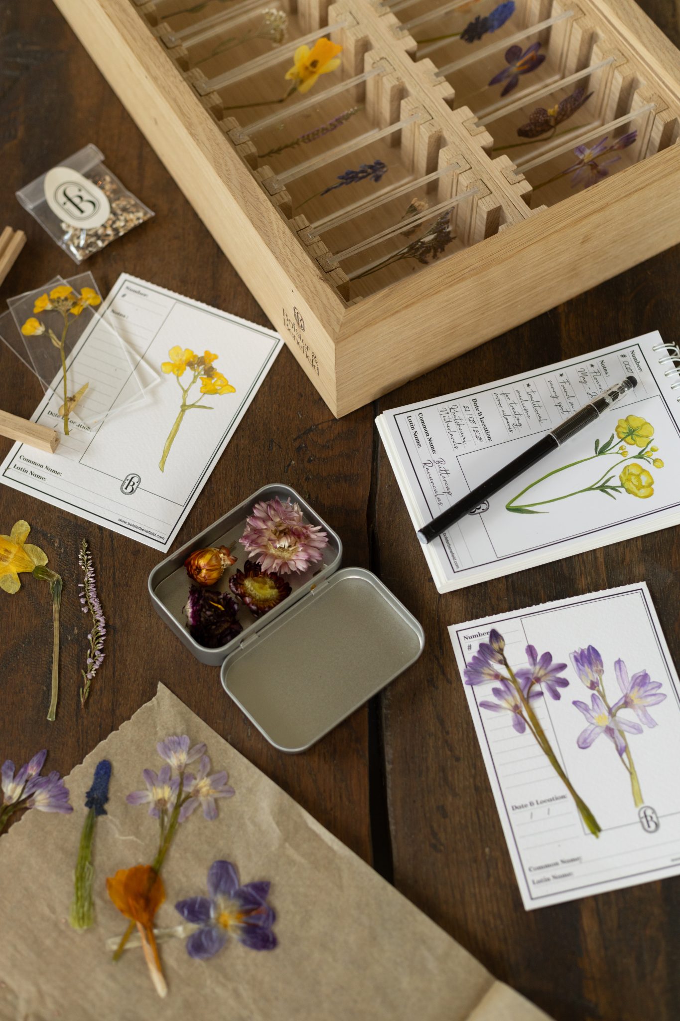 specimen flower collection box - Bolster & Benefield